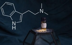 ¿Qué es el DMT o dimetiltriptamina y dónde se puede encontrar?